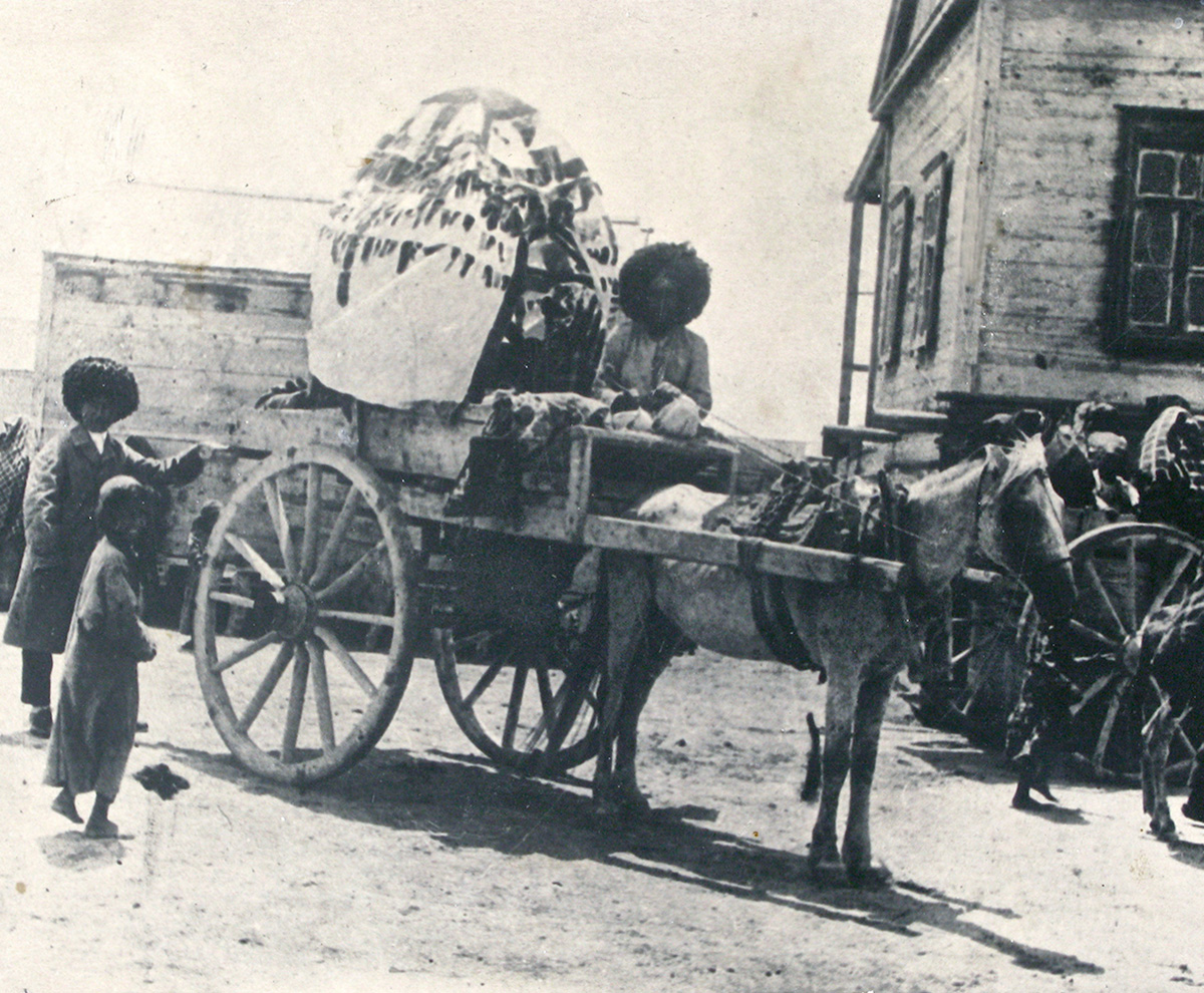Horse and Palanquin | World Quilts: The Central Asian Story
